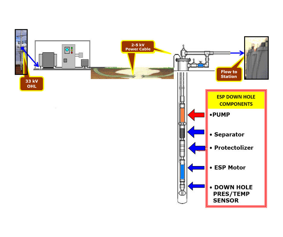Gas Lock Eliminator